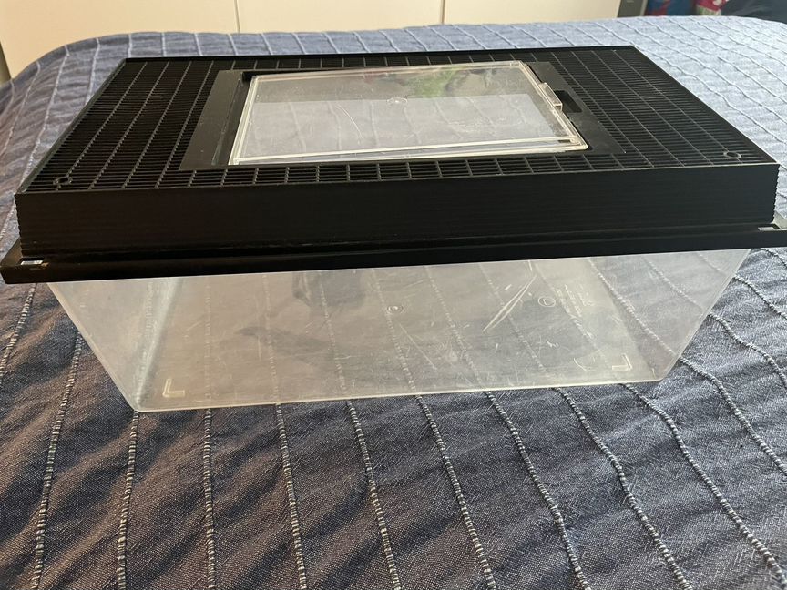 Аквариум террариум