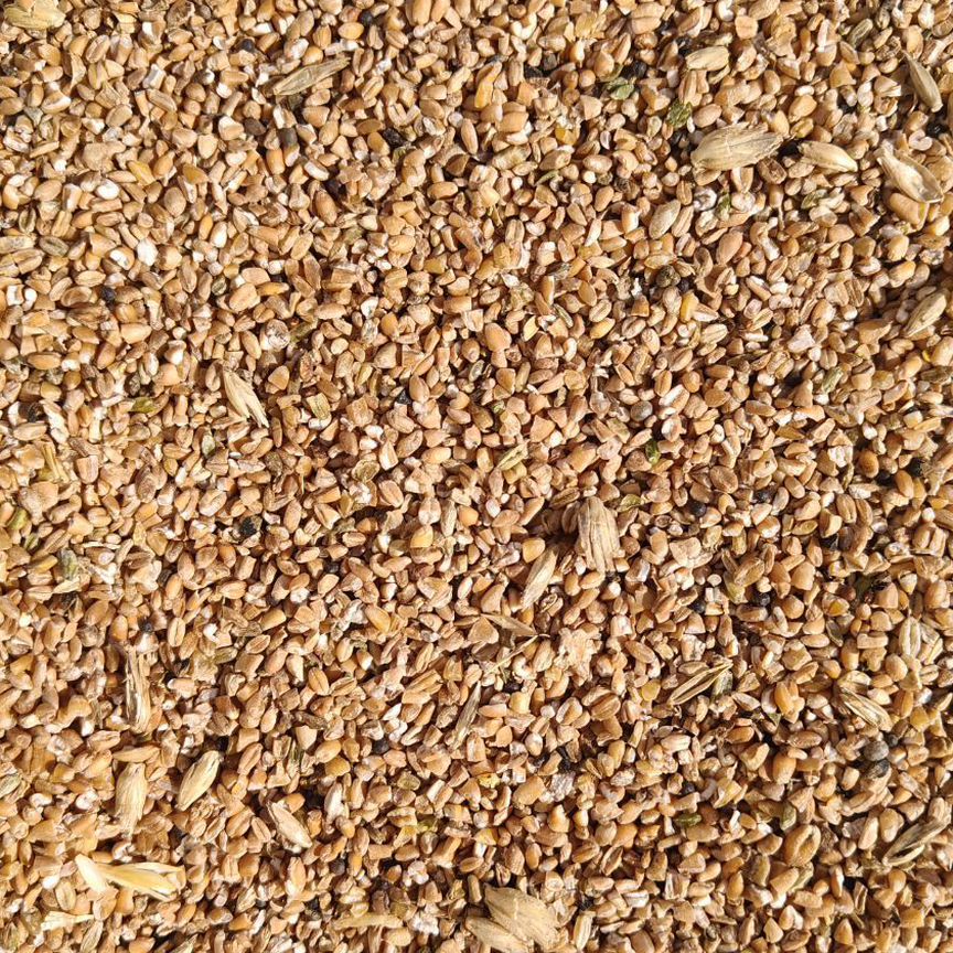 Зерноотход