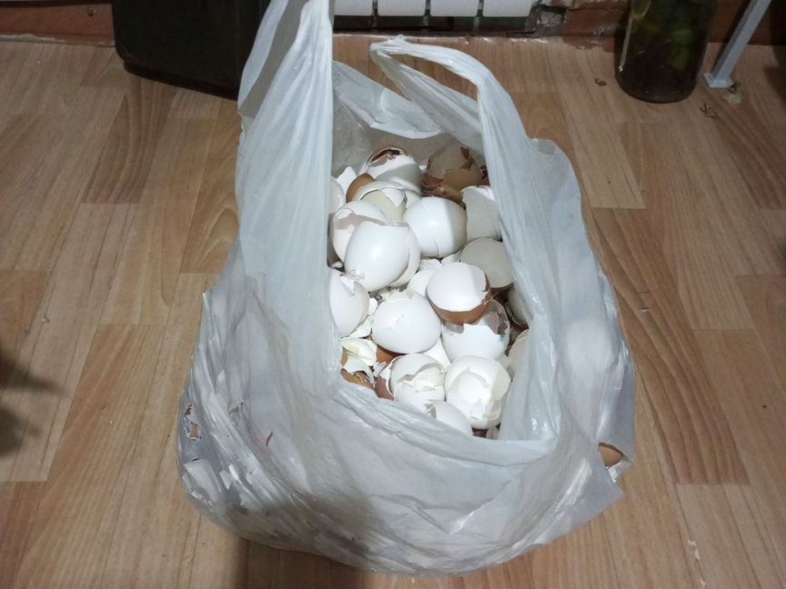 Яичная скорлупа