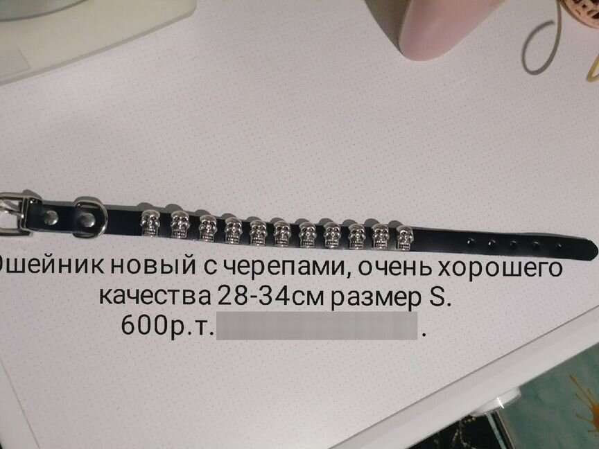 Ошейник с черепами