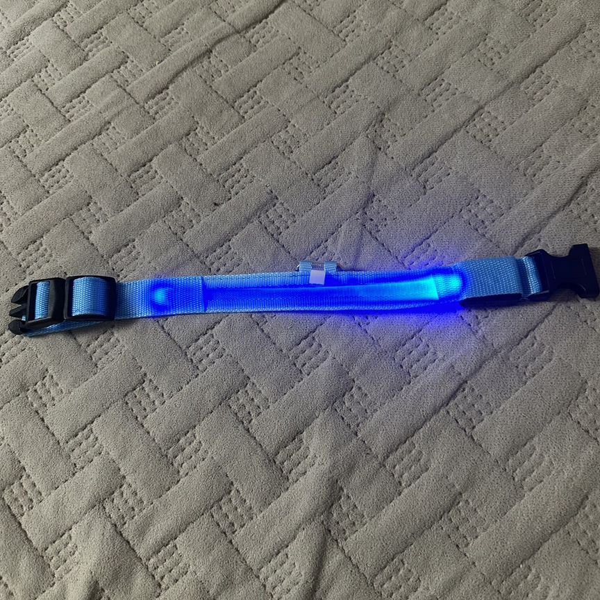 Ошейник для собак с подсветкой