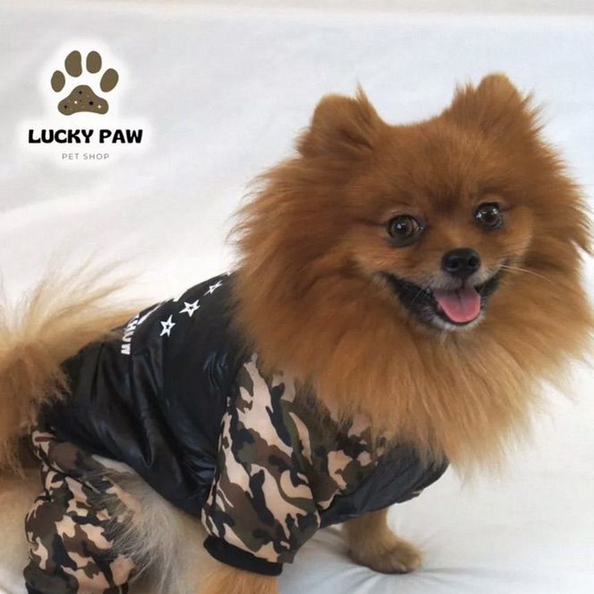 Комбинезон для маленькой собаки