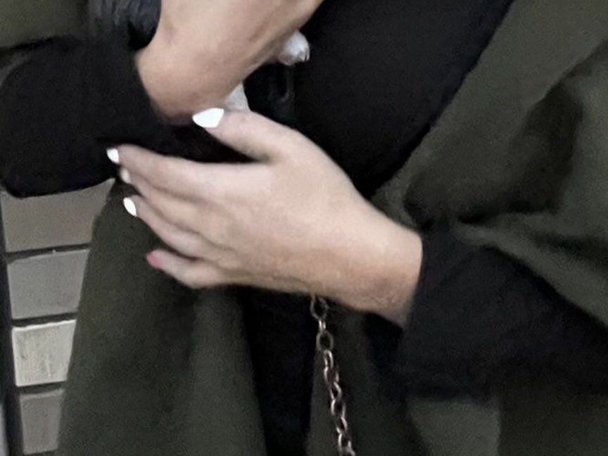 Одежда для маленьких собак