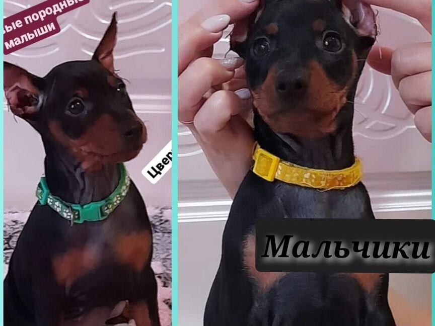 Крутые мальчишки