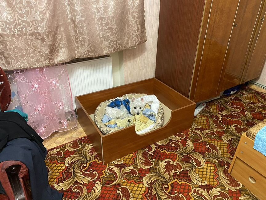 Родильный ящик для собаки