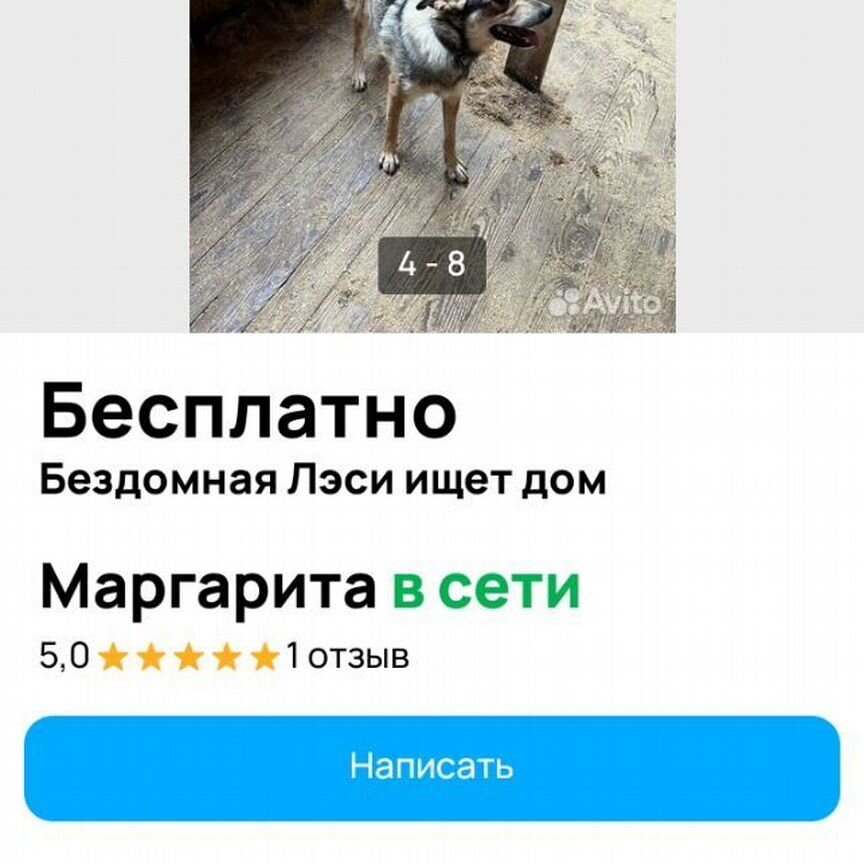 Собака в добрые руки отдам бесплатно