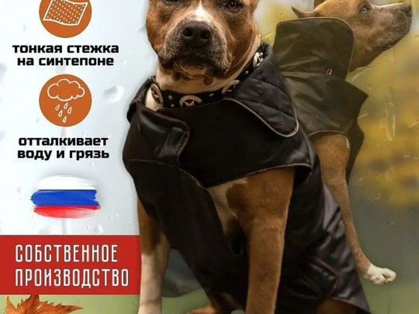 Новая попона-куртка для собак