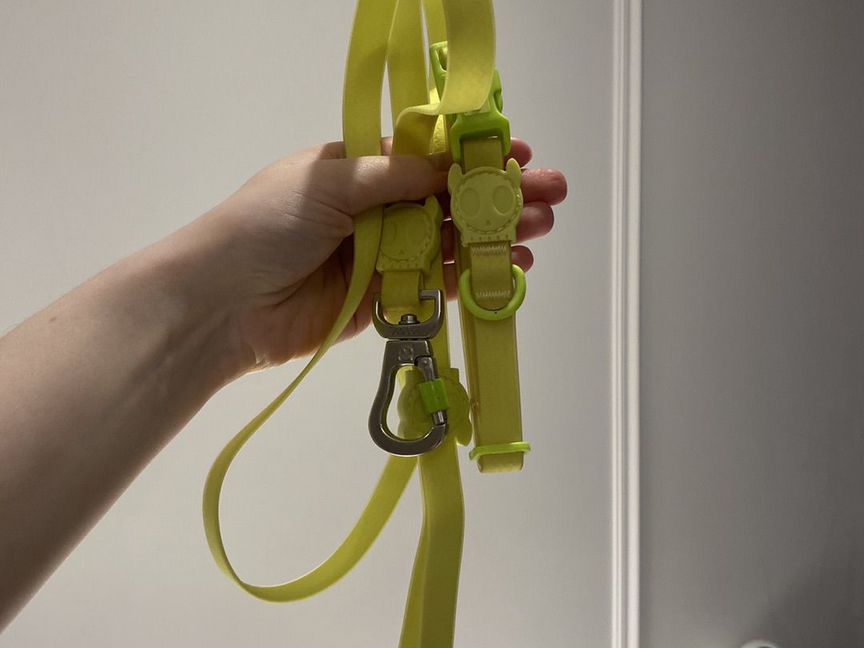 Ошейник и поводок zee dog neopro lime / размер s