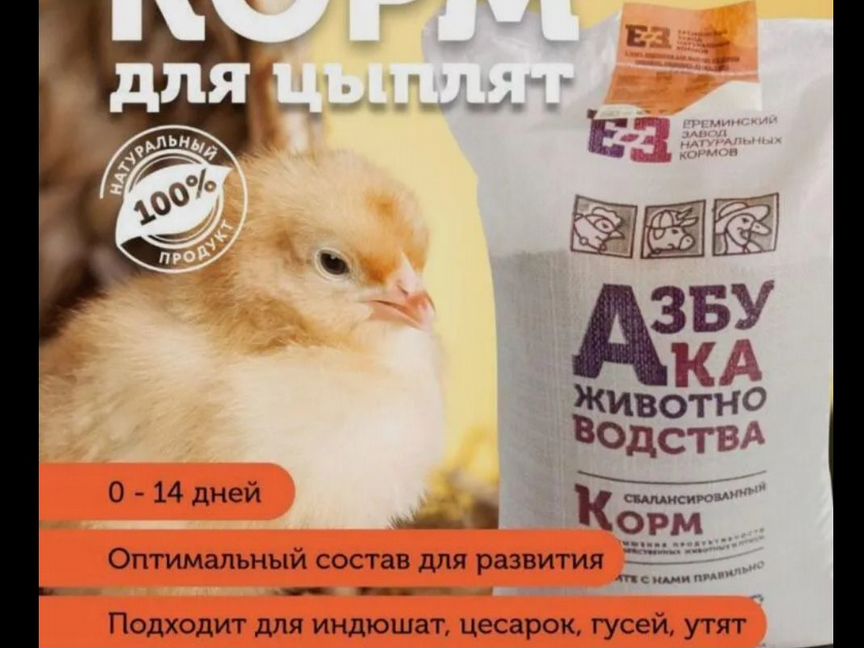 Корм для цыплят
