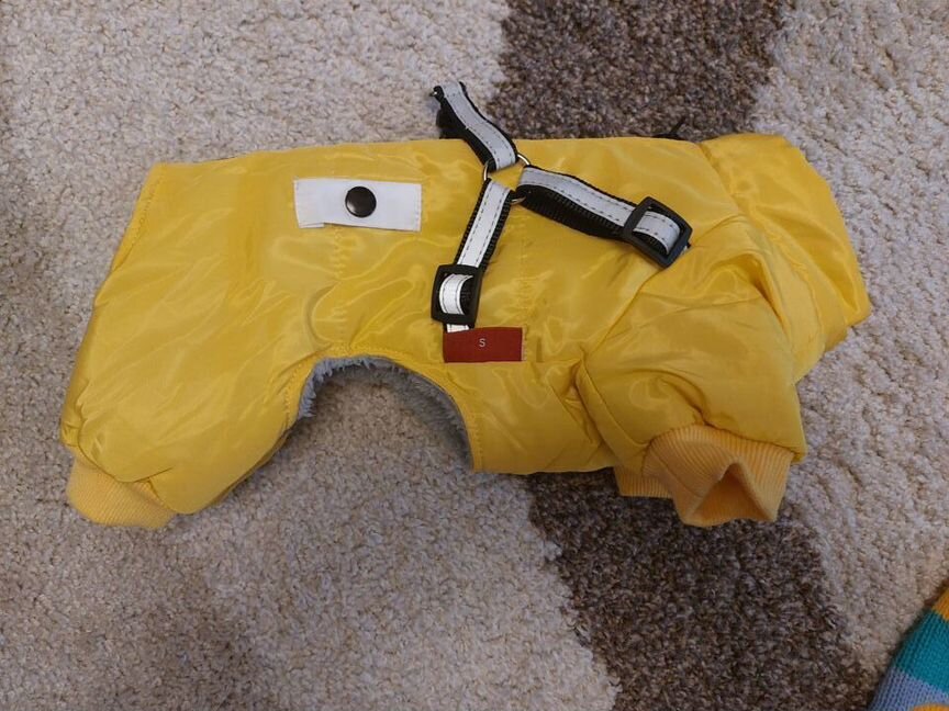 Комбинезон S + Светерки XS для маленьких собак