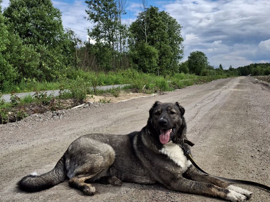 Друга много не бывает