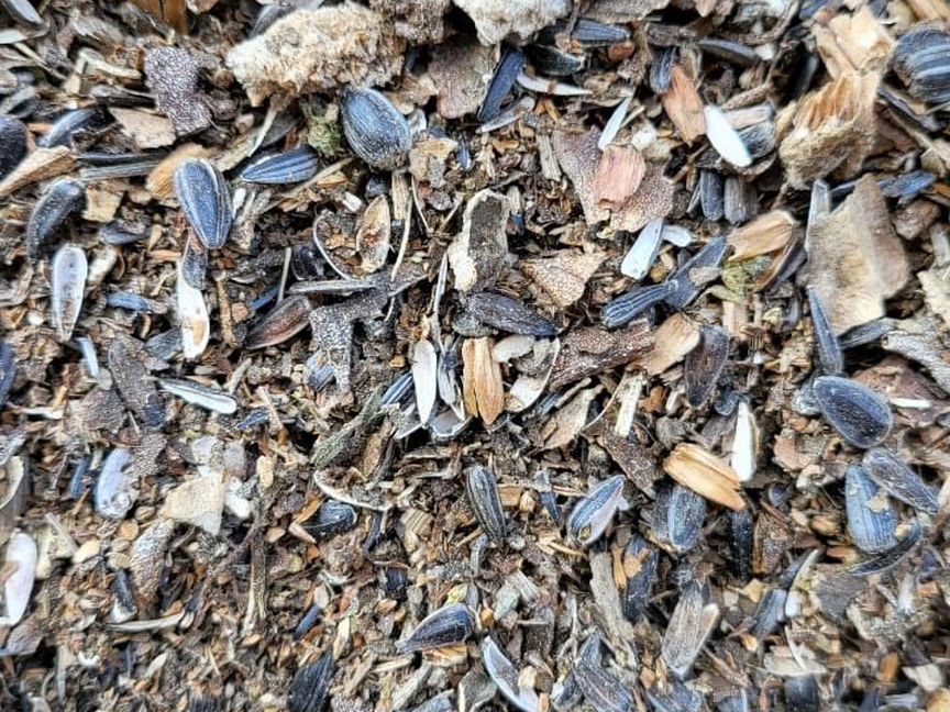 Отходы семечки