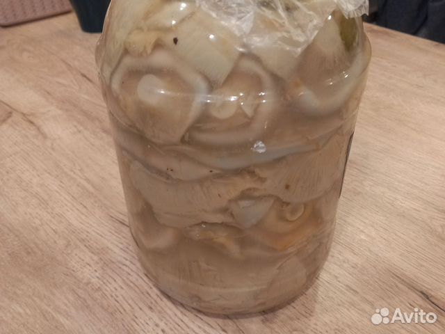 Грибы грузди соленые купить в Петергофе | Товары для дома и дачи | Авито