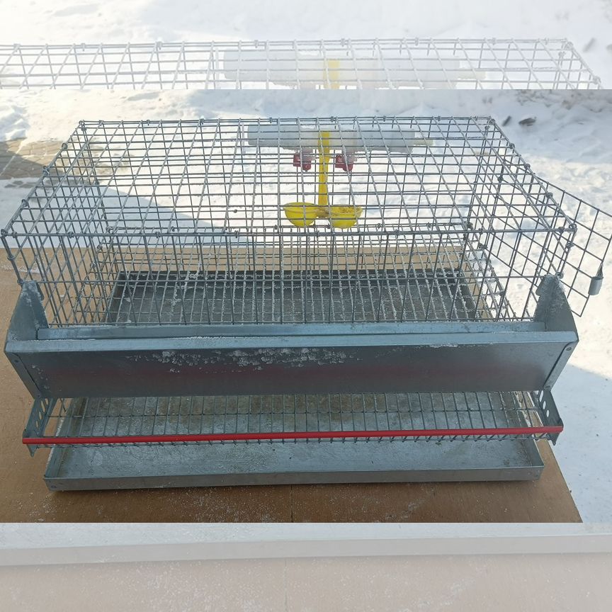 Клетка для перепелов бу на 15 перепелов