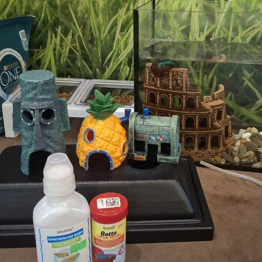 Рыбка петушок со всем готовым