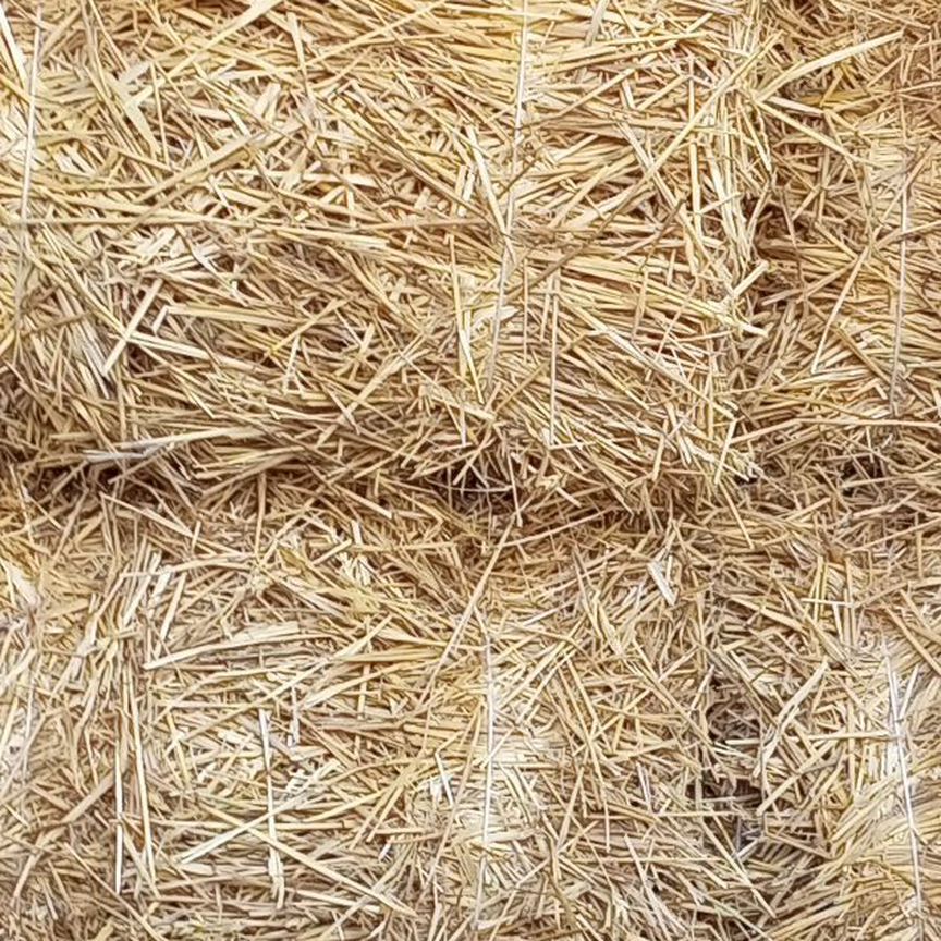 Солома в тюках ячменная пшеничная