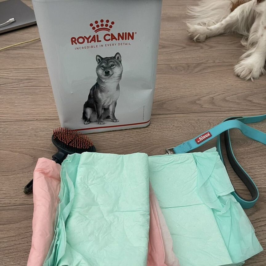 Пеленки для собак