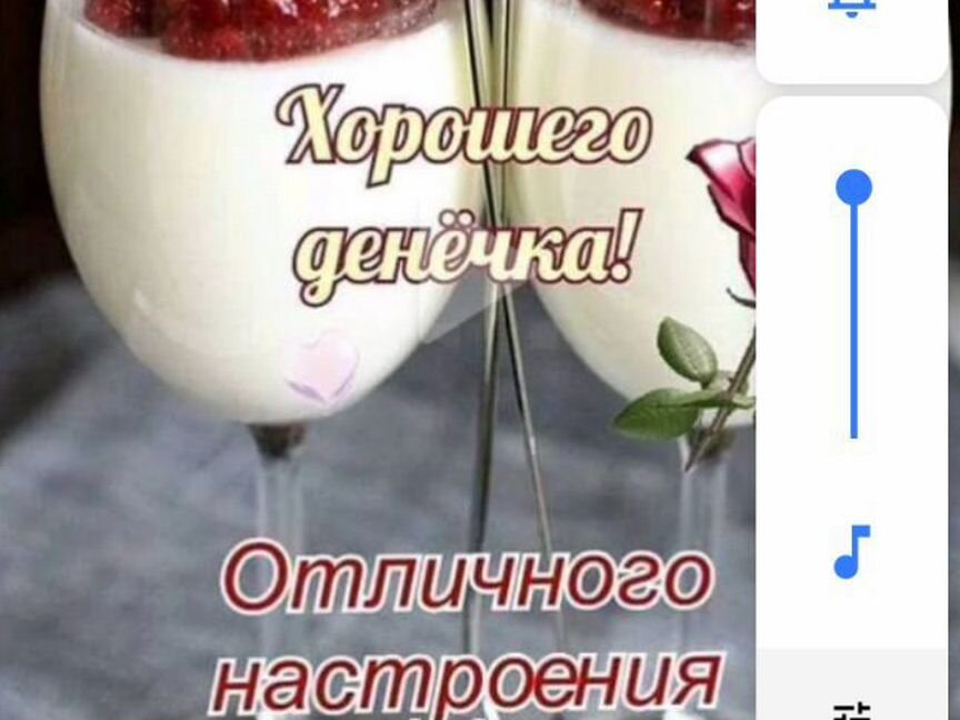 Цыплята бройлеры