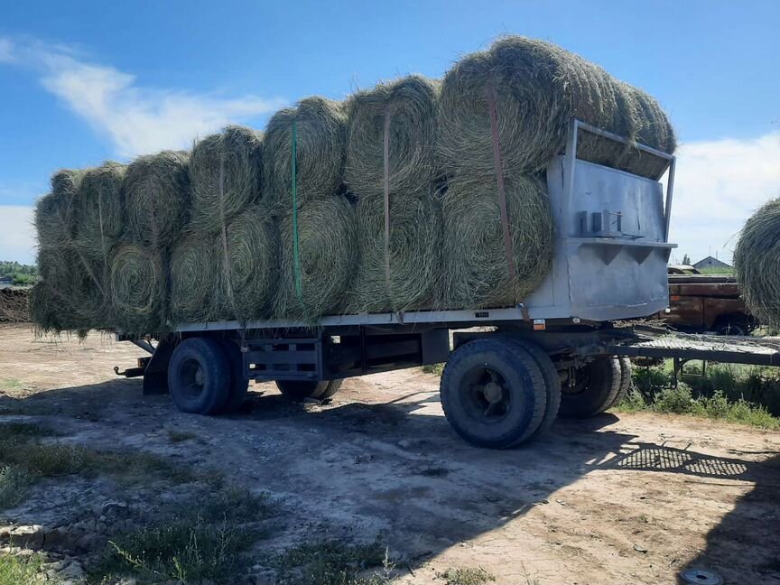 Сено2023год только рулоны