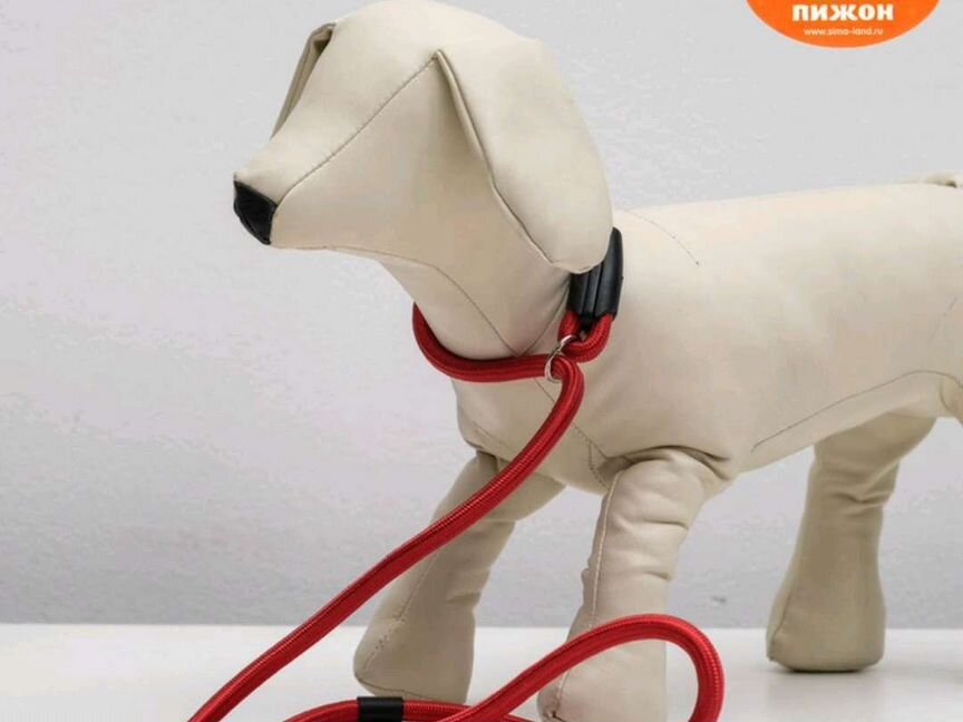 Выставочная ринговка