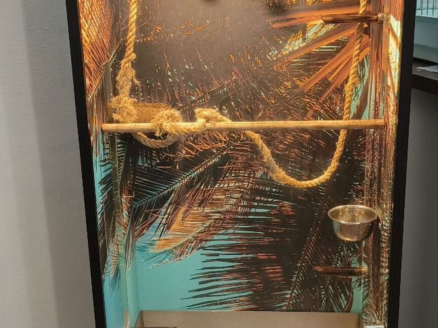 Авиарий вольер клетка