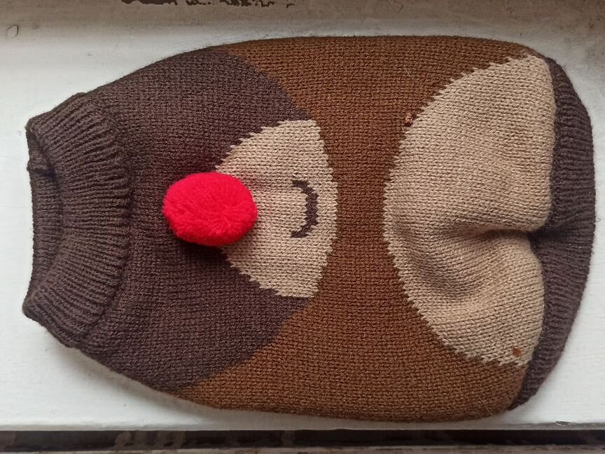 Тёплая кофта для кота