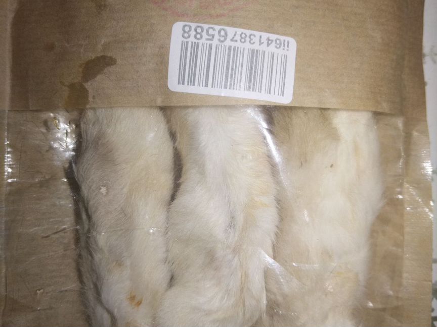 Кроличья лапка