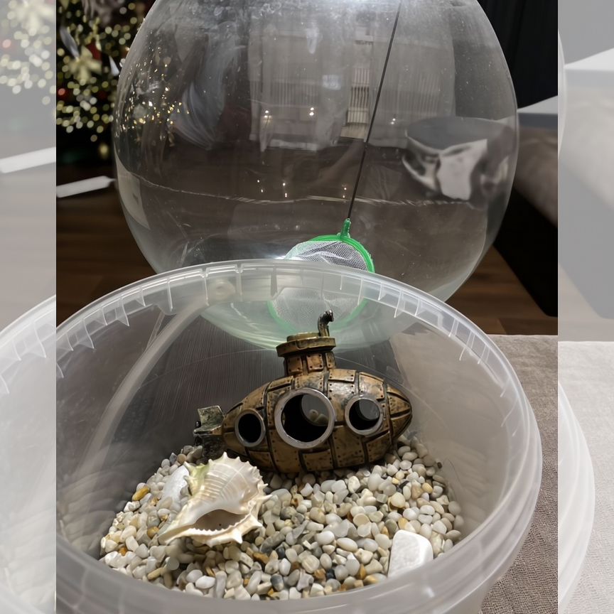 Аквариум для рыбок круглый 10 литров