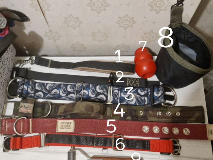 Амуниция, конг, сумка для лакомств, стриппинг