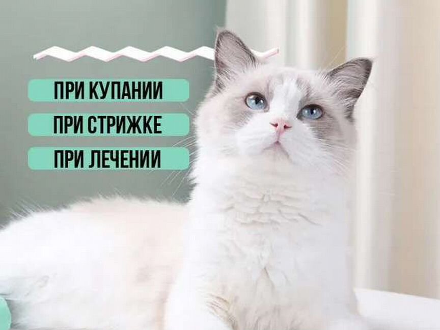 Чехлы на кошачьи лапы для ухода за кошками