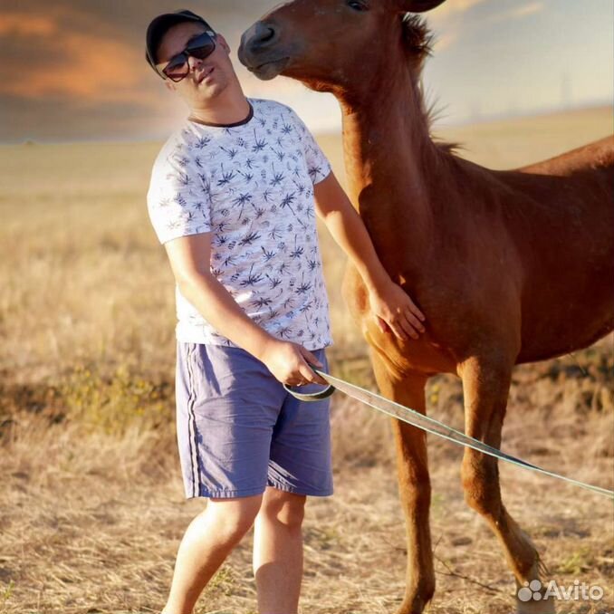 Продам жеребенка