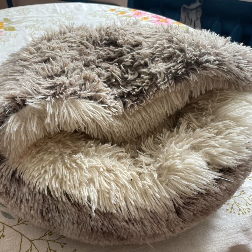 Лежанка для домашних животных