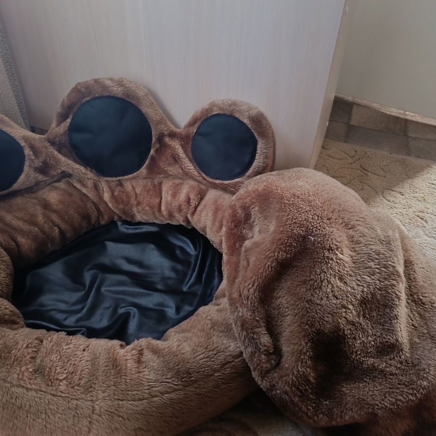 Лежак для собаки