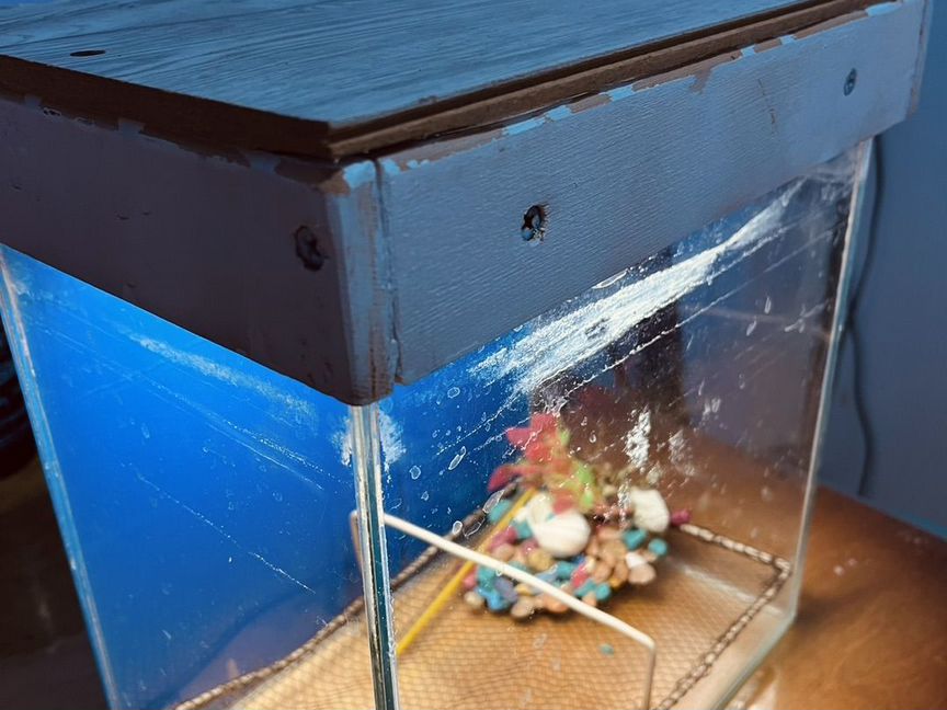 Аквариум для гуппи, мальков