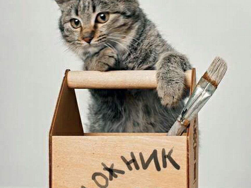 Коврижка ищет дом