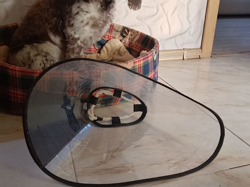 Бандаж послеоперационный