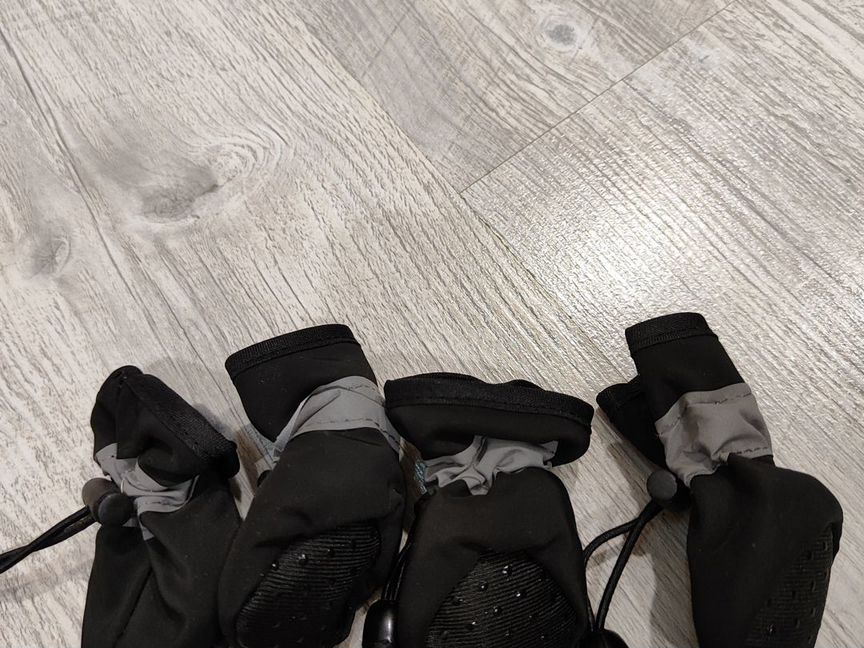 Зимние ботинки на маленькую собачку