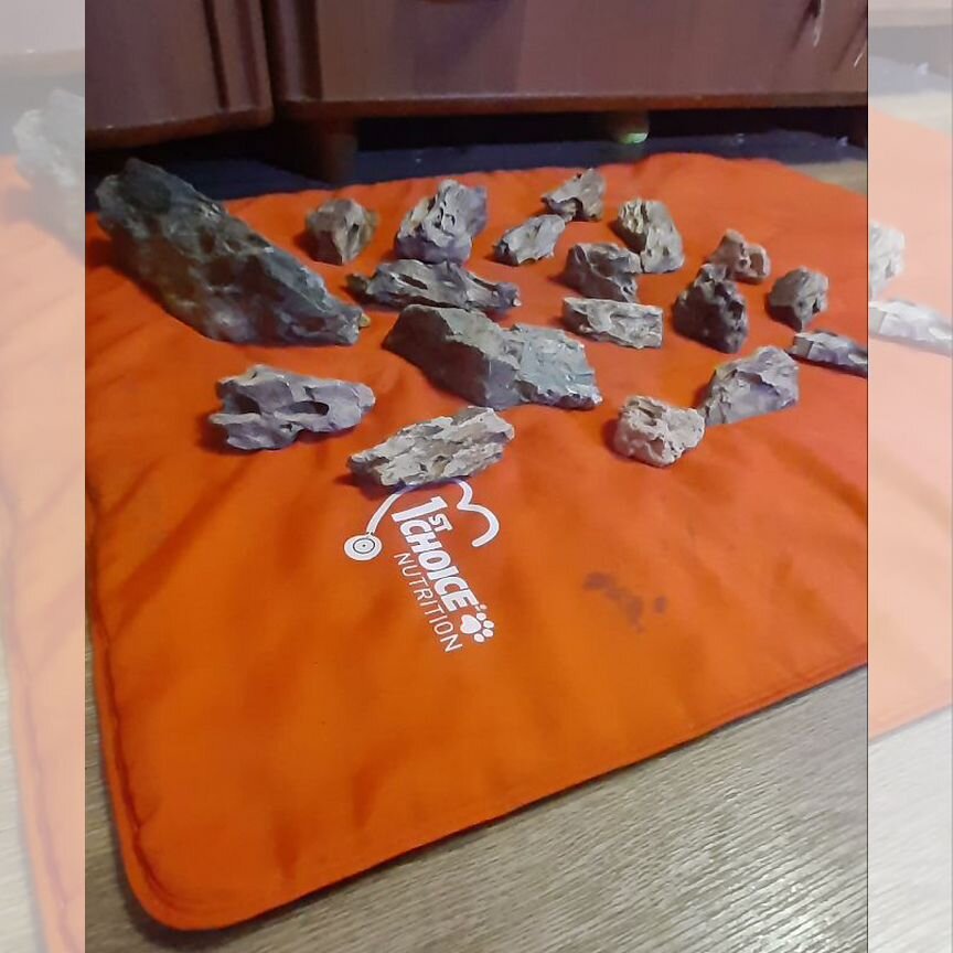 Камень кожа дракона в аквариум