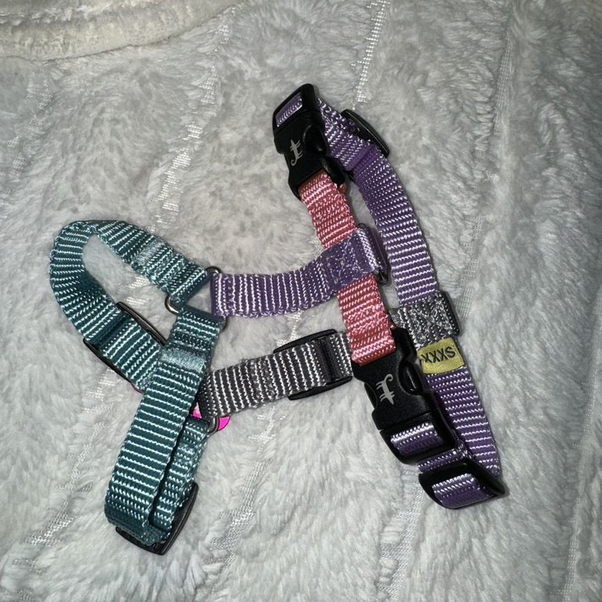 Шлейка шарик дог