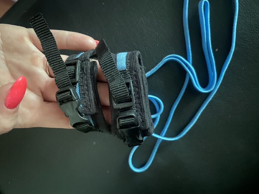 Шлейка для морской свинки