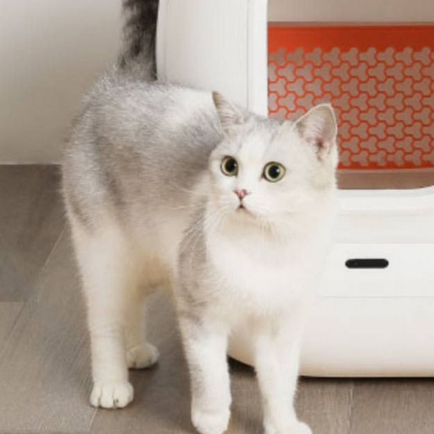 Автоматический лоток Petkit pura MAX