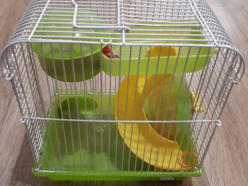Клетка для хомика или джунгарика