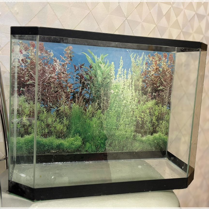 Аквариум панорамный 20 л