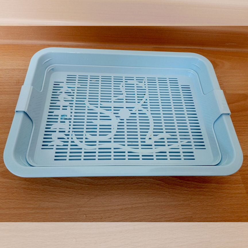 Лоток для котят