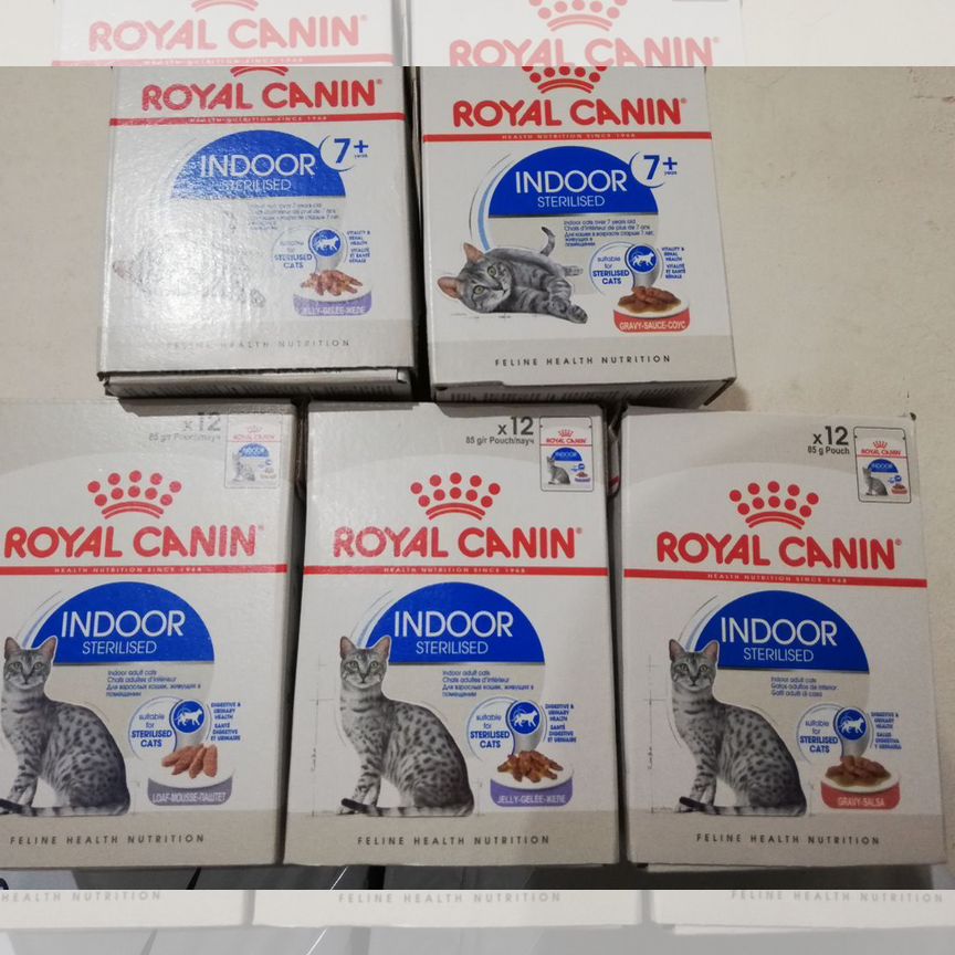 Влажный Корм для кошек Royal Canin Indoor