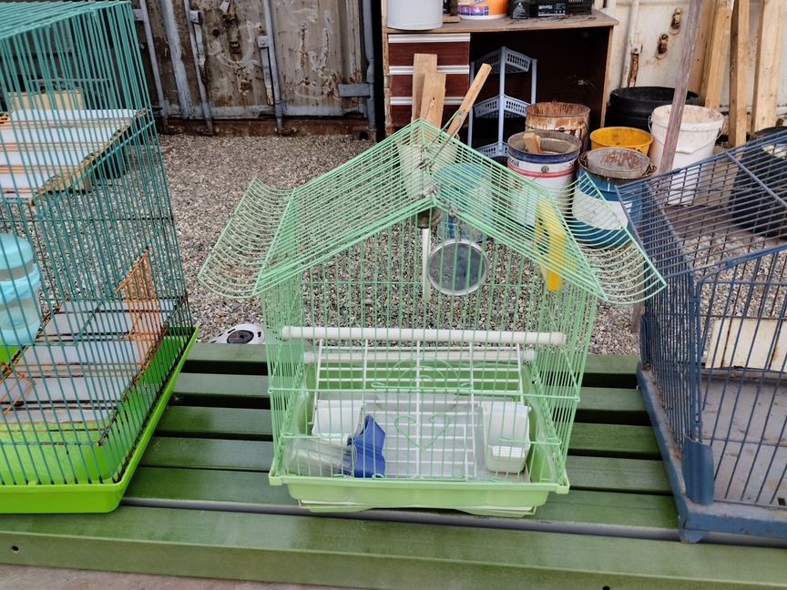 Клетки для Птичек.Аквариум