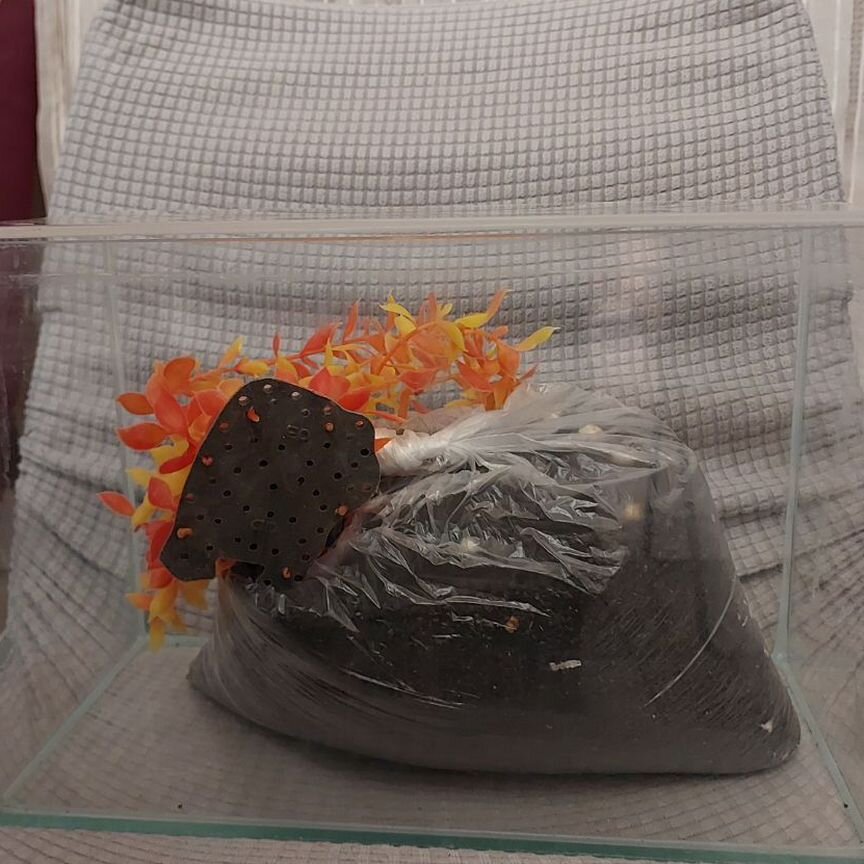 Аквариум 9 литров