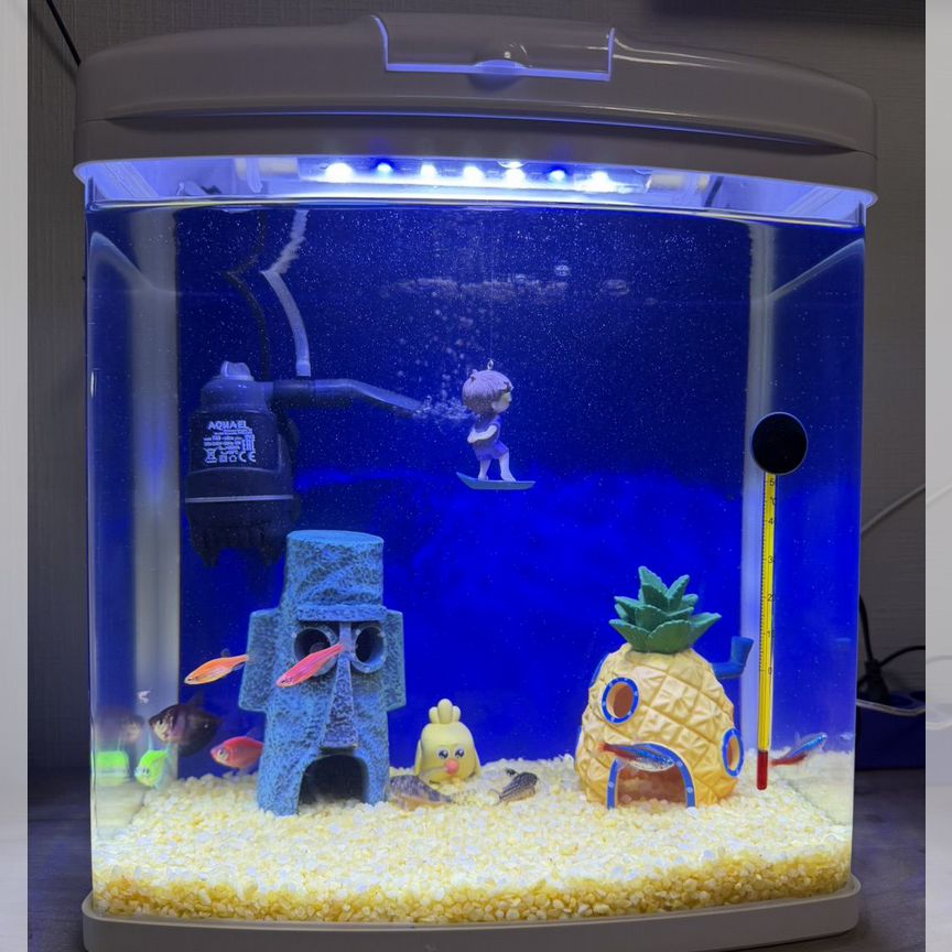 Аквариум 20 литров с рыбками