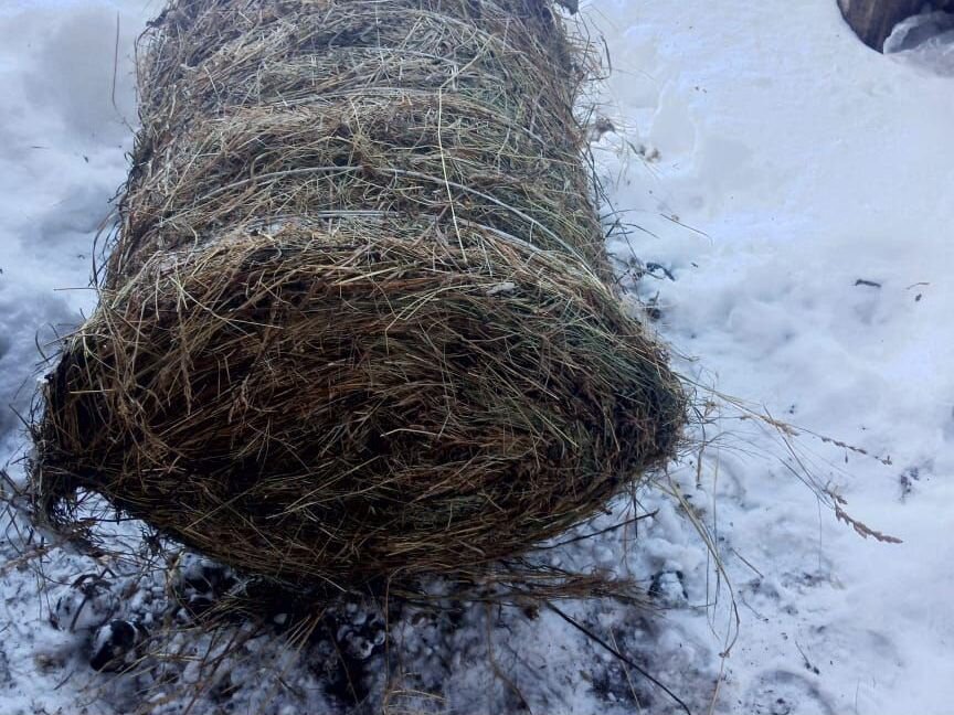 Сено в мини рулонах