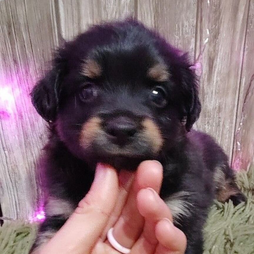 Милый мальчик